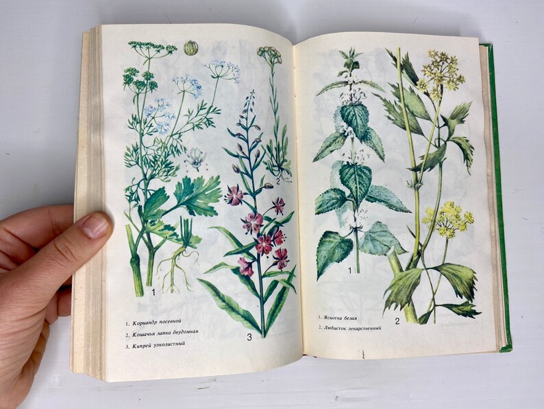 Vintage Botanical Illustrated Book Old Phytotherapy Guide - Etsy