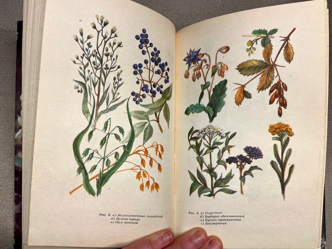 Vintage Botanical Illustrated Book Old Phytotherapy Guide - Etsy