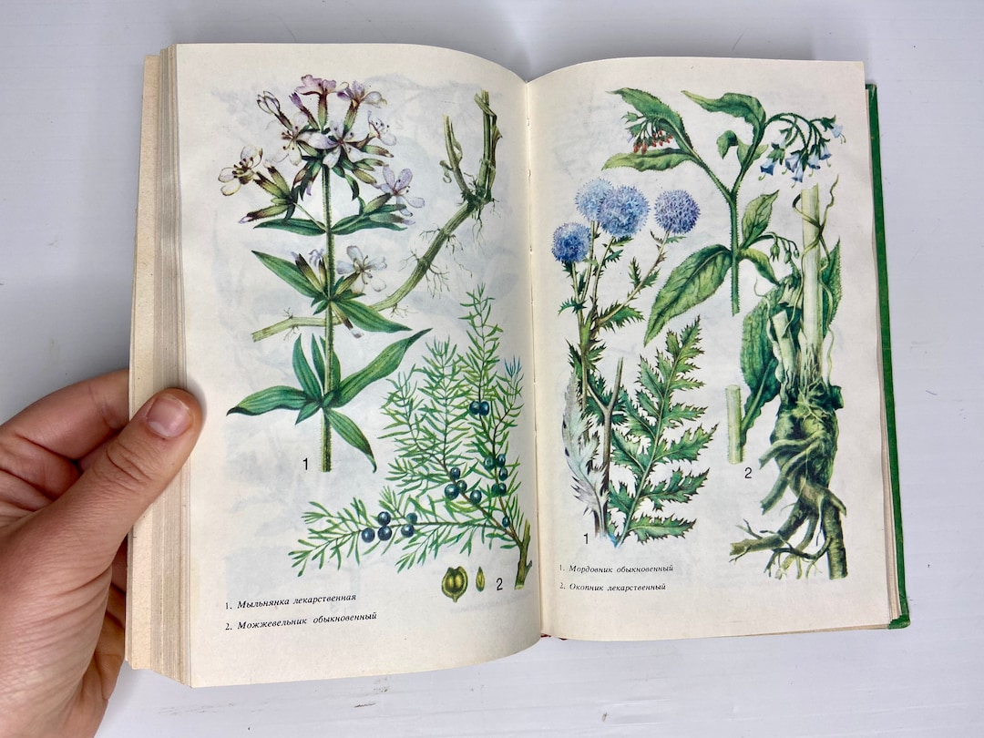 Vintage Botanical Illustrated Book - Old Phytotherapy Guide - Ukrainian ...