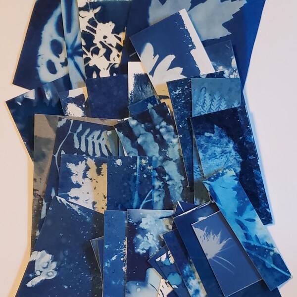 Cyanotype Print - Etsy