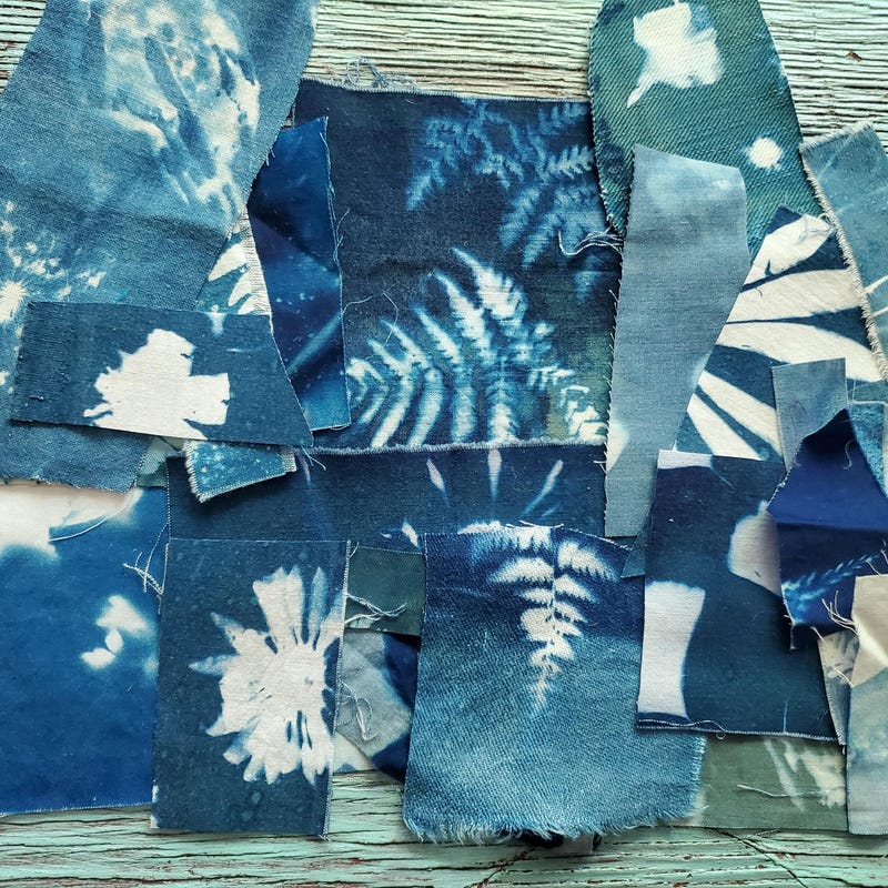 Cyanotype Print - Etsy