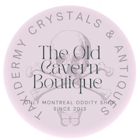 Glass Coffin Shelf Display - Etsy