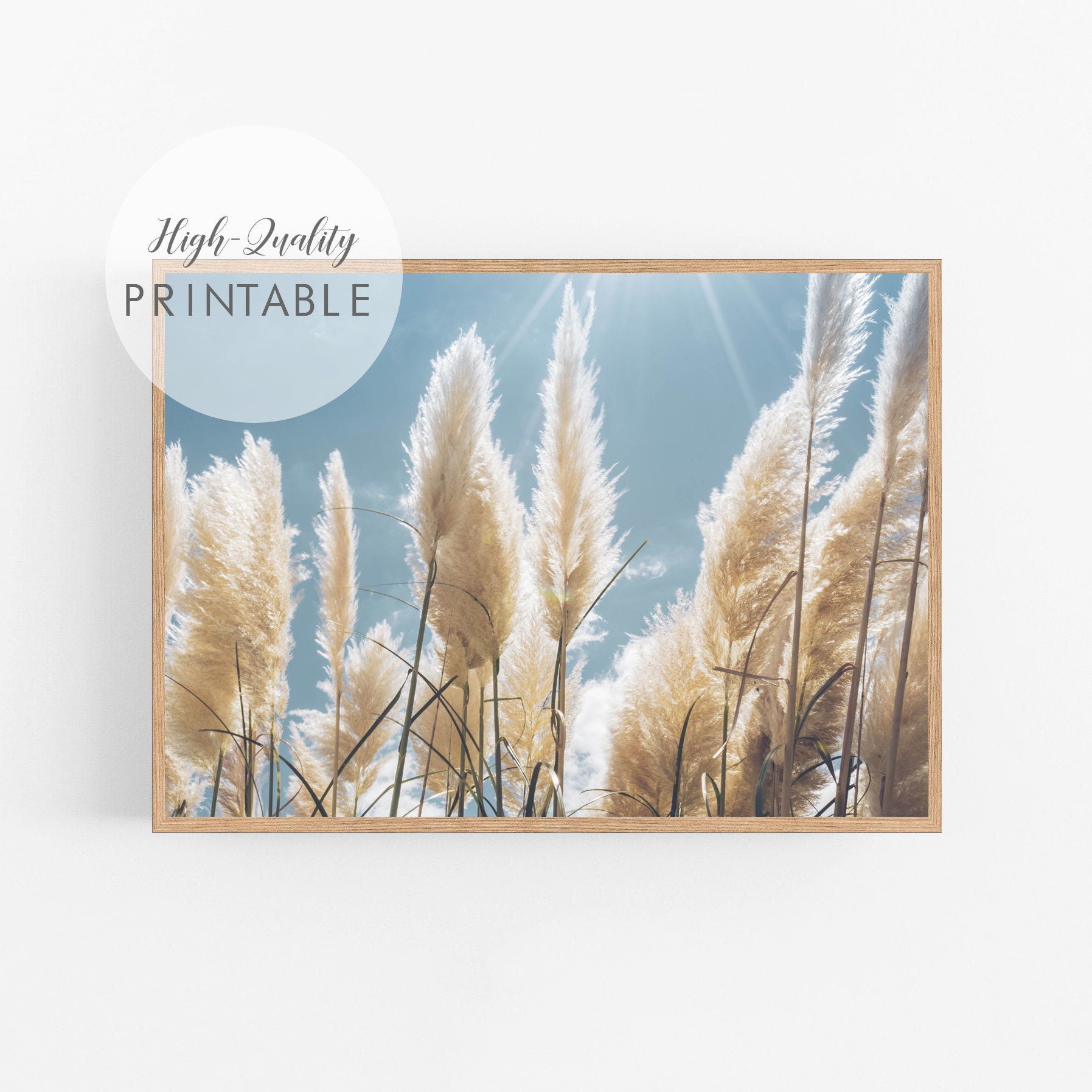 Pampas Grass Print, Large Neutral Boho Poster, Pampas Grass Photo ...
