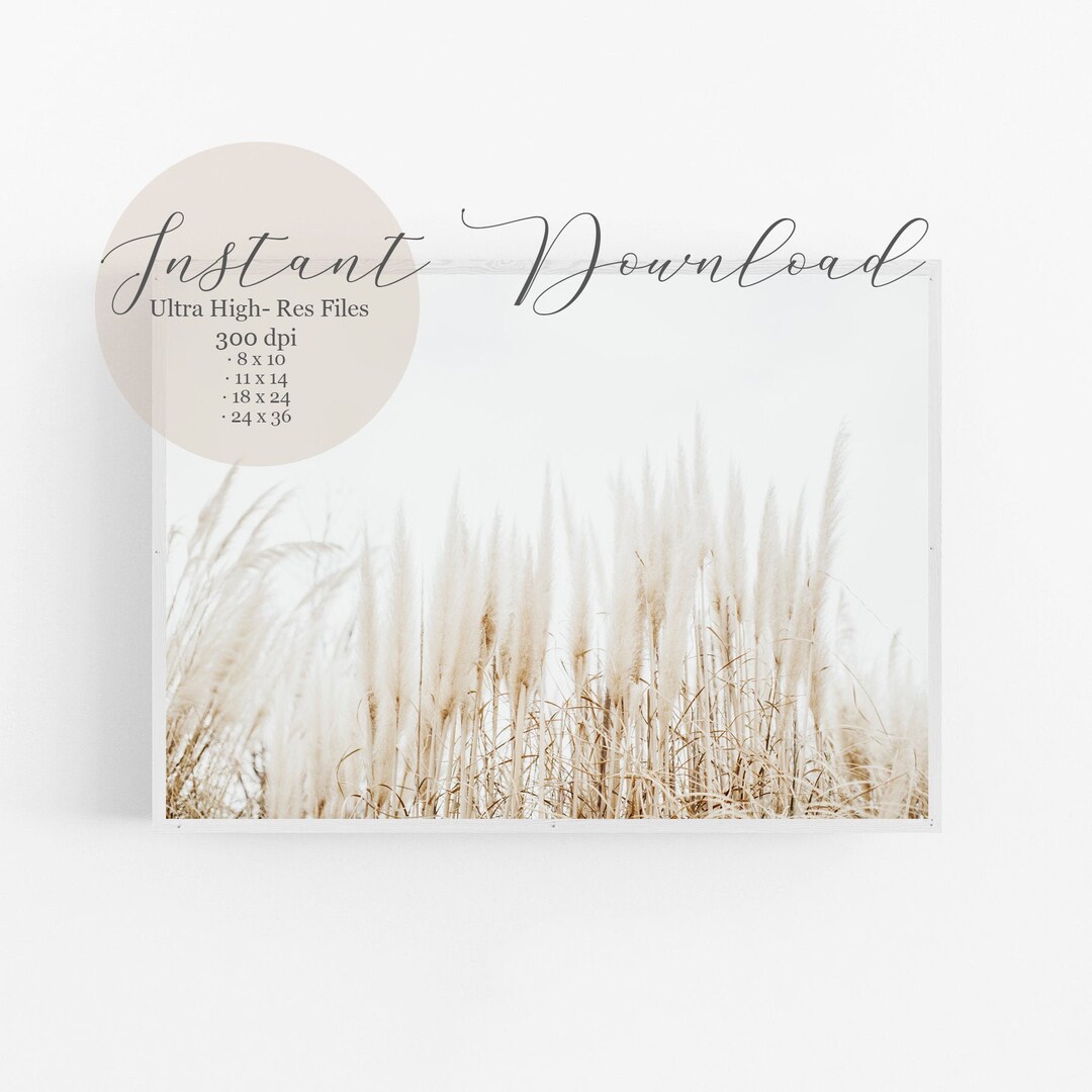 White Pampas Grass Print, Large Neutral Boho Poster, Pampas Grass Photo ...