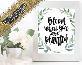 Bloom Where You're Planted / Cactus Print / Bloom - Etsy