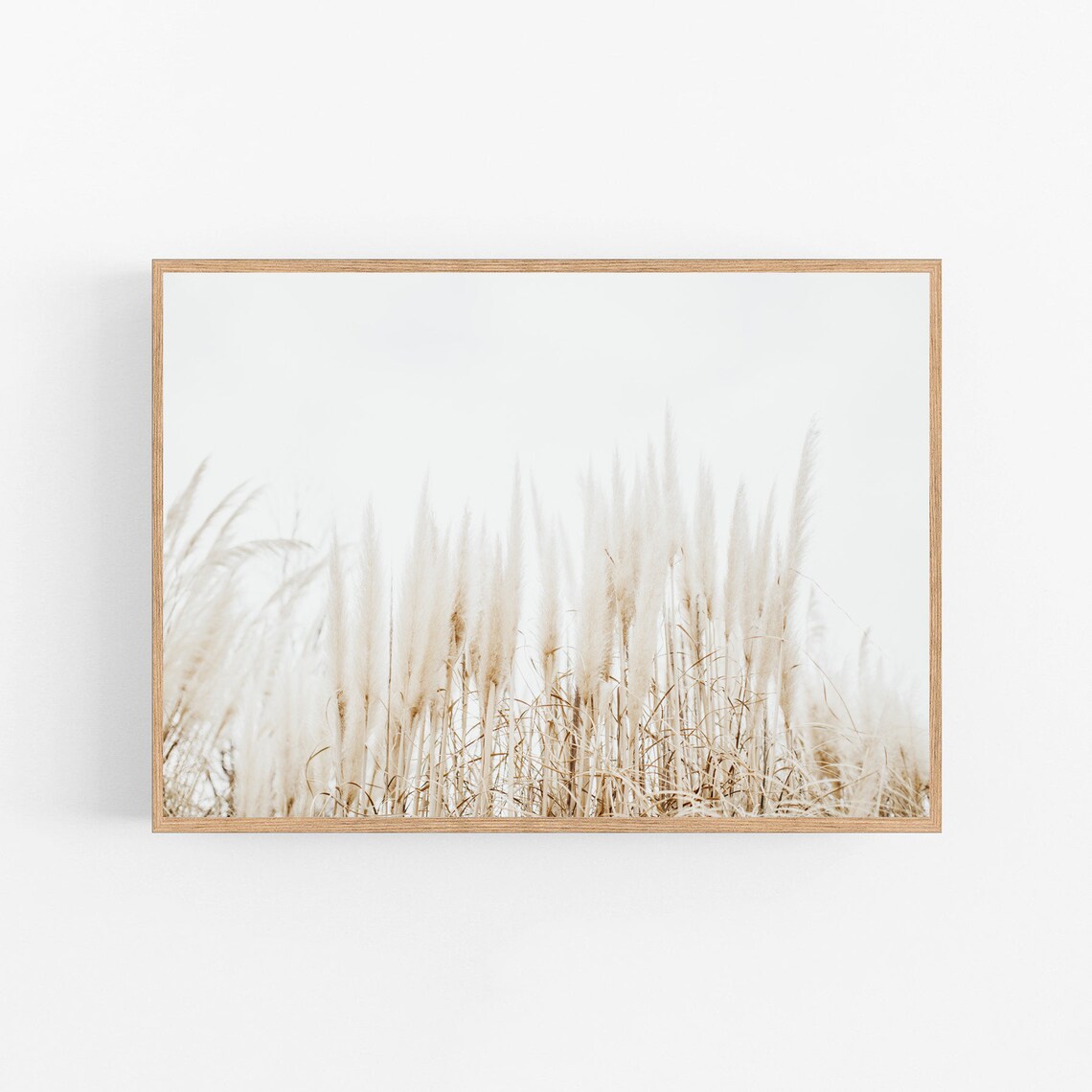 White Pampas Grass Print, Large Neutral Boho Poster, Pampas Grass Photo ...
