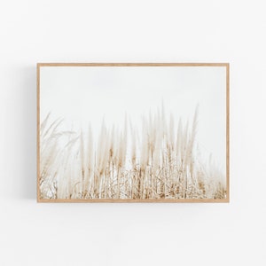 White Pampas Grass Print, Large Neutral Boho Poster, Pampas Grass Photo ...
