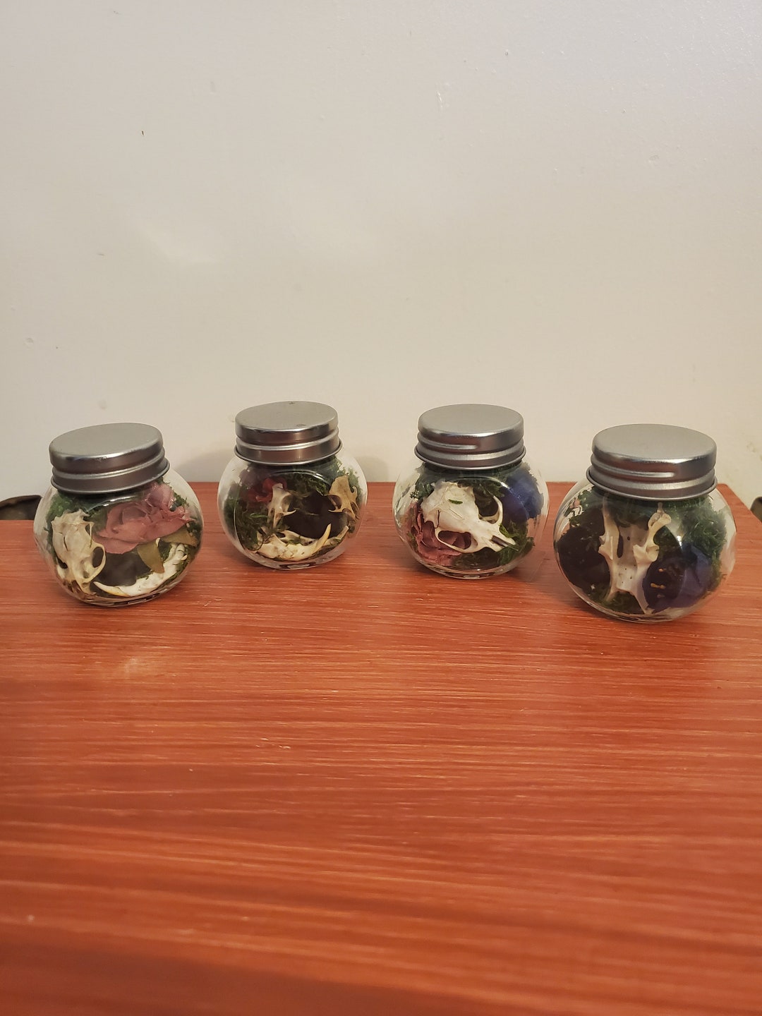 Small Mouse Skull and Bones Jar - Etsy