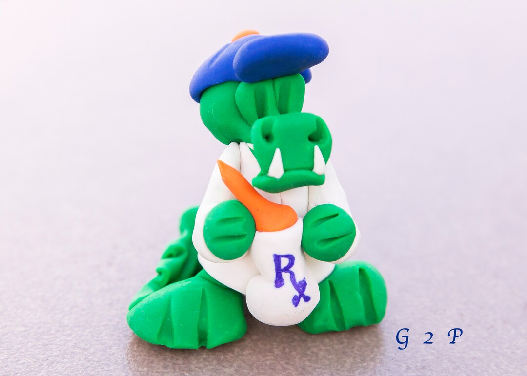 Gator Pharmacist | Handmade | Gator Gift | University of Florida Gift ...