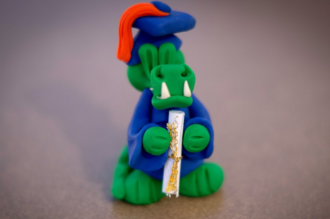 Gator Grad Handmade Gator Gift University of Florida - Etsy