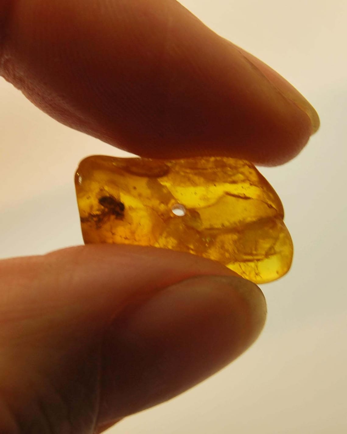 Amber Inclusion Baltic Amber Natural Bead With Insect With - Etsy