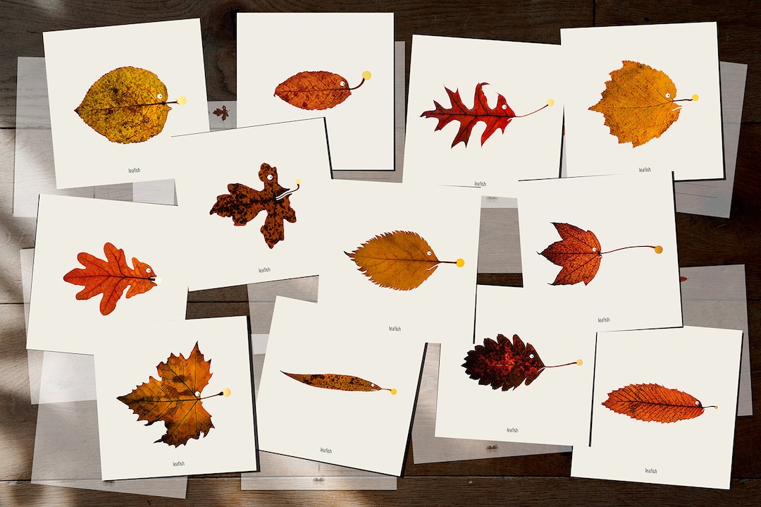 Fish Art Cards - Leafish - Set of 12 Postcards - Illustration Postcard ...