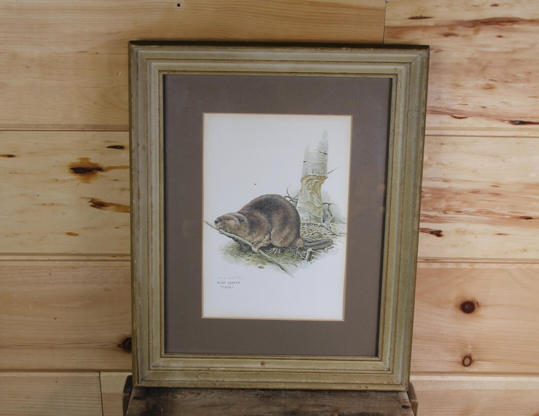 Vintage Glen Loates Beaver Signed Framed Canadian Wildlife Print 1976 ...