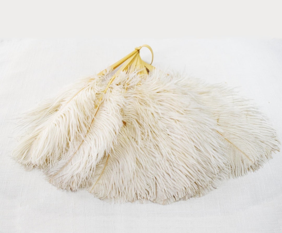 Vintage 1920s White Feather Hand Fan | Art Deco Feather Folding Fan ...