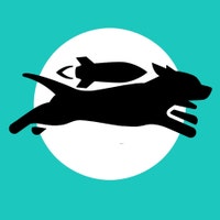 Lace-on Pair of Shoe Wings - Etsy