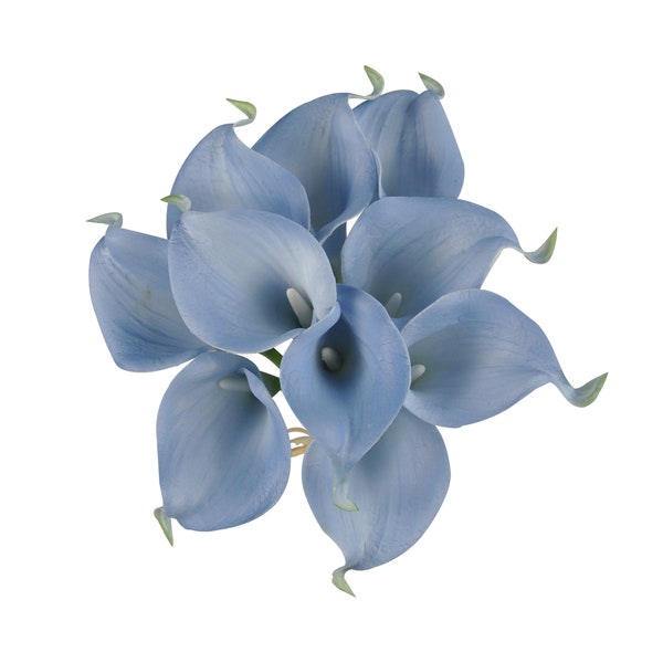 Blue Calla Lily - Etsy