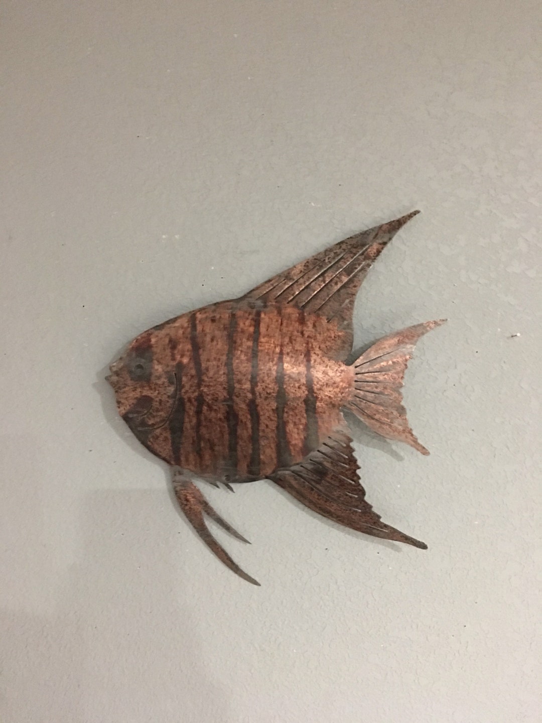 Angel Fish - Fish - Beautiful Color Fish - Home Decor - Metal Art ...
