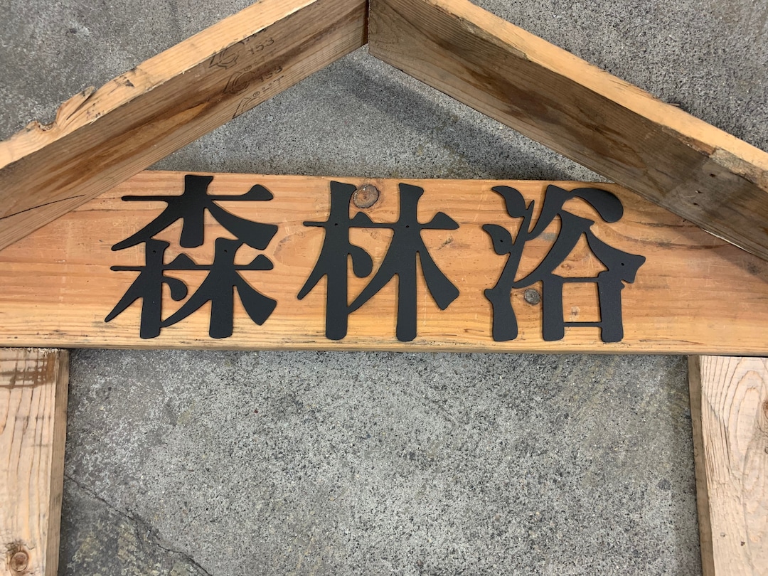 Shinrin-yoku, the Japanese Way of Bathing, Natural Forest, 3 Pc Set ...