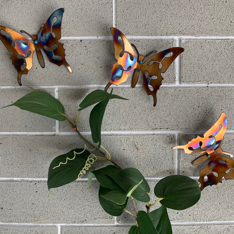 Steel Butterfly - Etsy