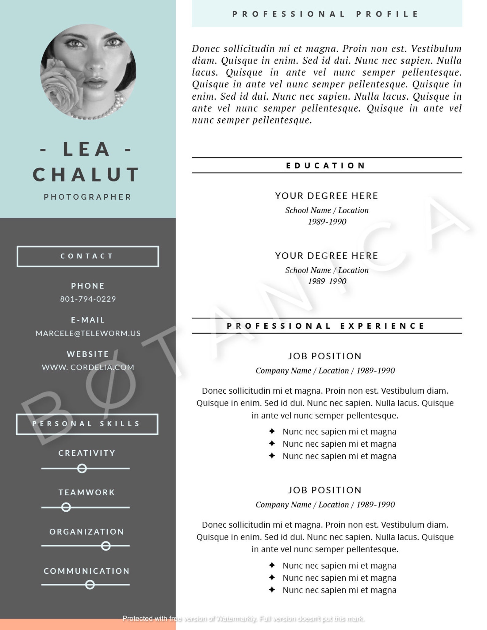Bold Resume Design Modern . Creative Resume Template for Word - Etsy