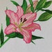Lily Machine Embroidery Design: Spring Floral Pattern (digital Download ...