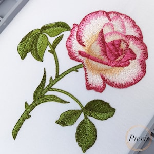 Rose in Bloom Machine Embroidery Design | Floral Embroidery Pattern 3 ...