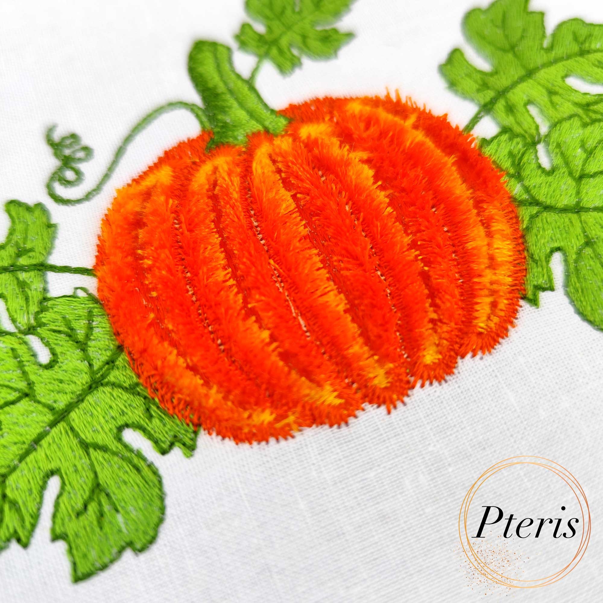 Pumpkin Chenille Machine Embroidery Design - Fringed Fluffy Texture - 3 ...