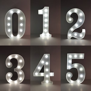 NUMBERS - Metal Carnival Style Marquee Light, LED Number Light ...
