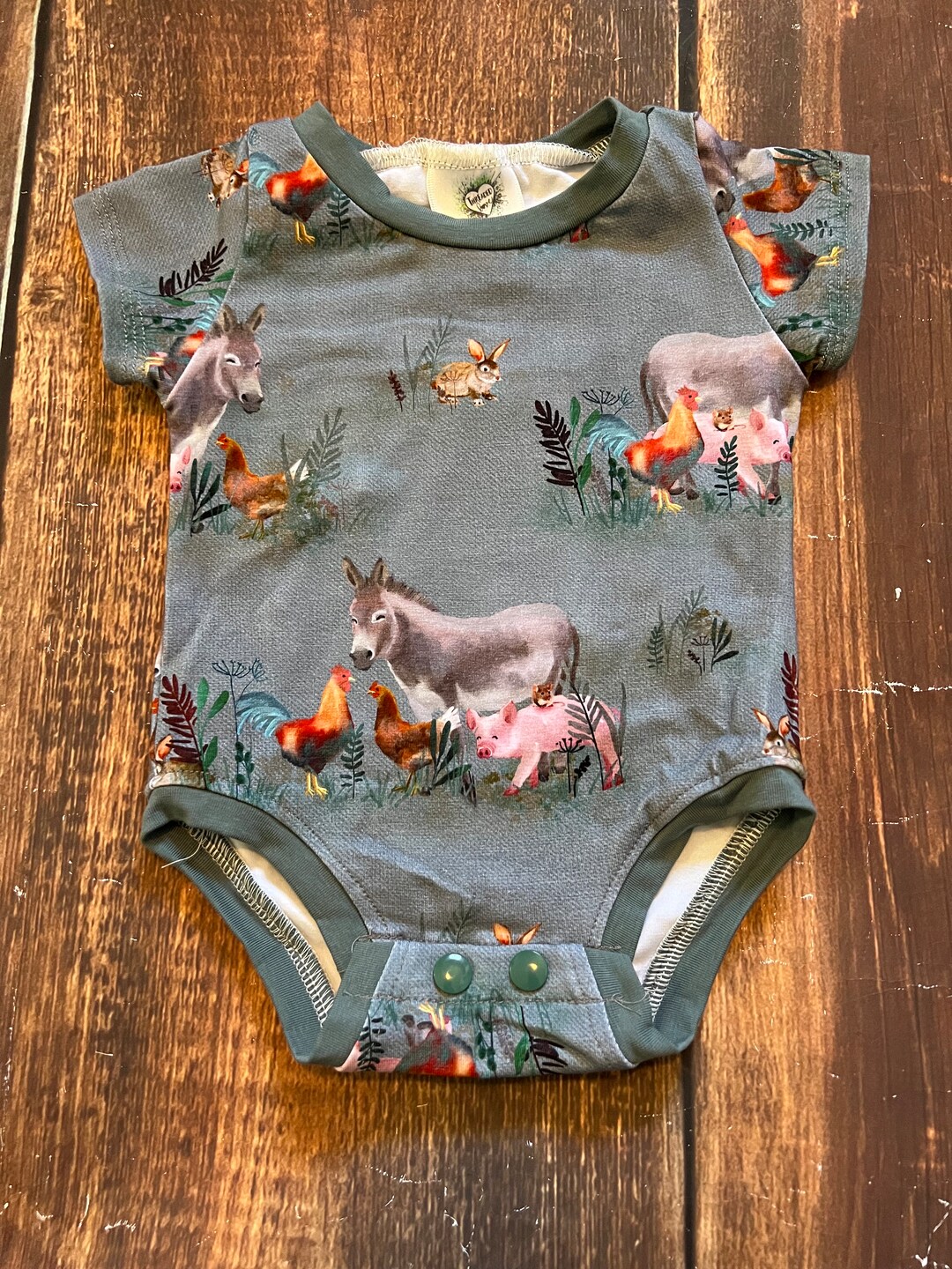 Farm Animals Baby Bodysuit, Farm Baby Clothes, Infant Boy Coming Home ...