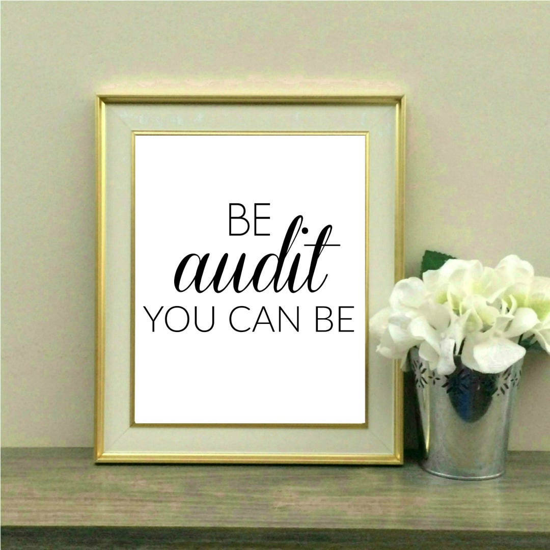 Be Audit You Can Be, Graduation Gift, Accountant Gift, Accounting ...