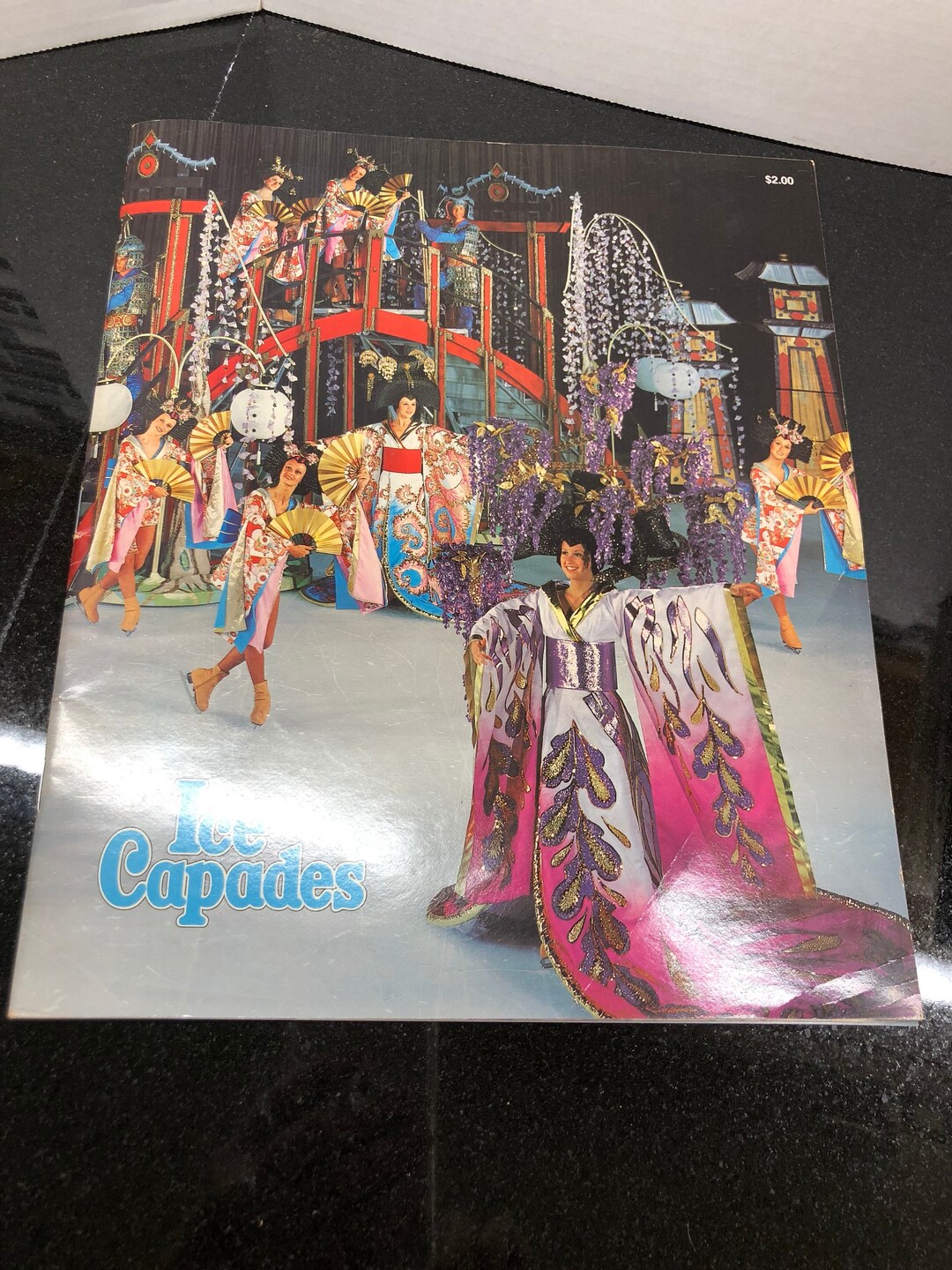 Vintage 1977 ice capades program vintage ephemera collectible ice ...
