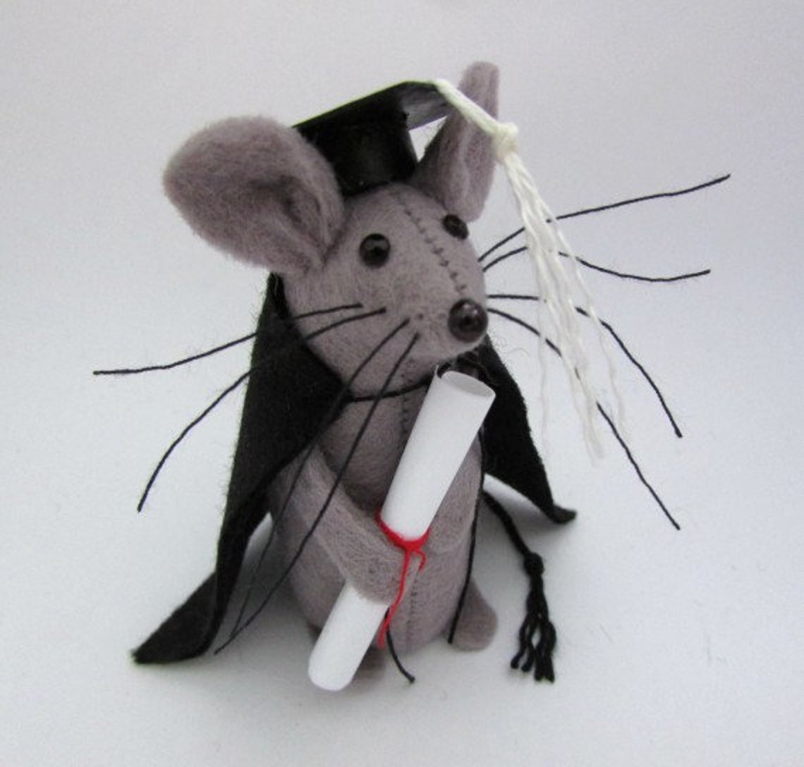 Graduation Mouse Felt Mice Felt Mouse Graduation - Etsy