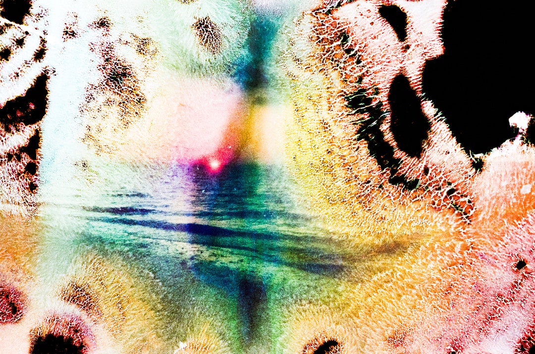 Film Abstract Photo Prints - Etsy