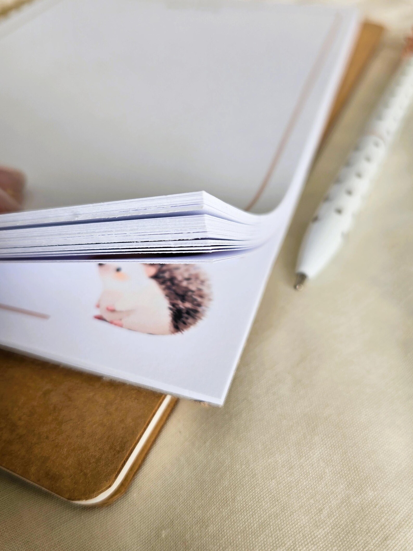 Hedgehog Notepad Gift for Her Animals Cute Stationery 5x7 Notepad ...