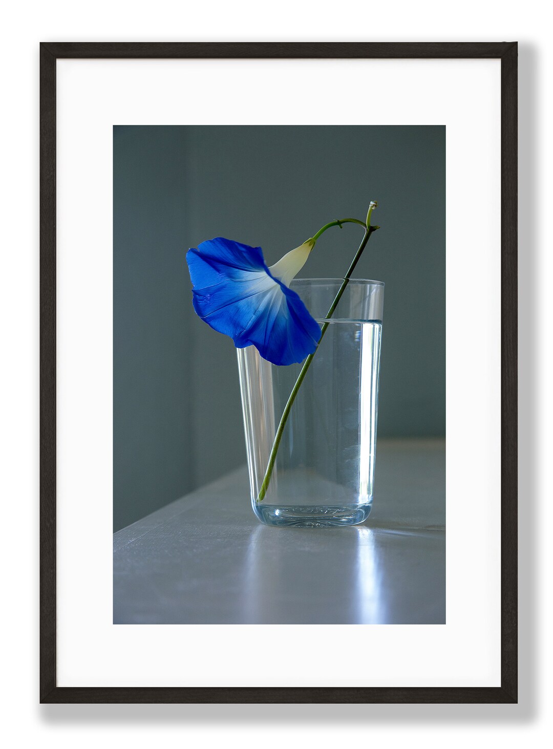Blue Color Print Digital File Download Photo Print Downloadable Image ...