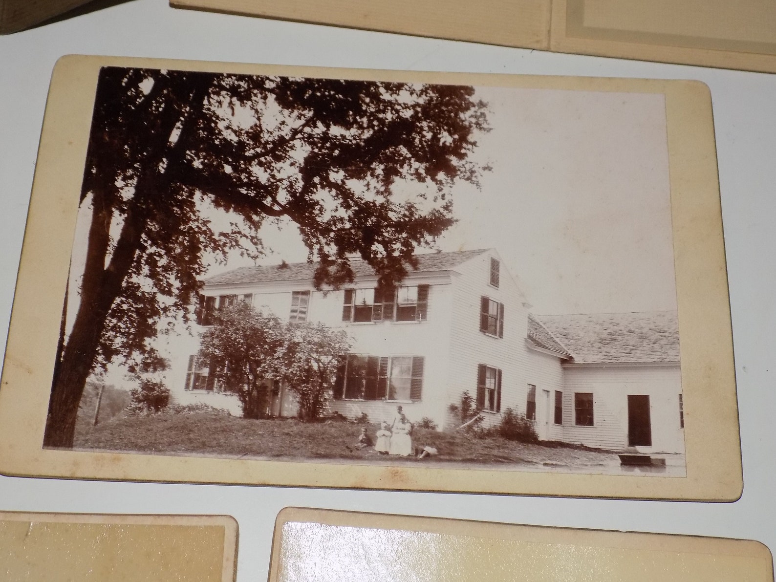 Vintage Cabinet Card Photograph Picture Collection - Etsy