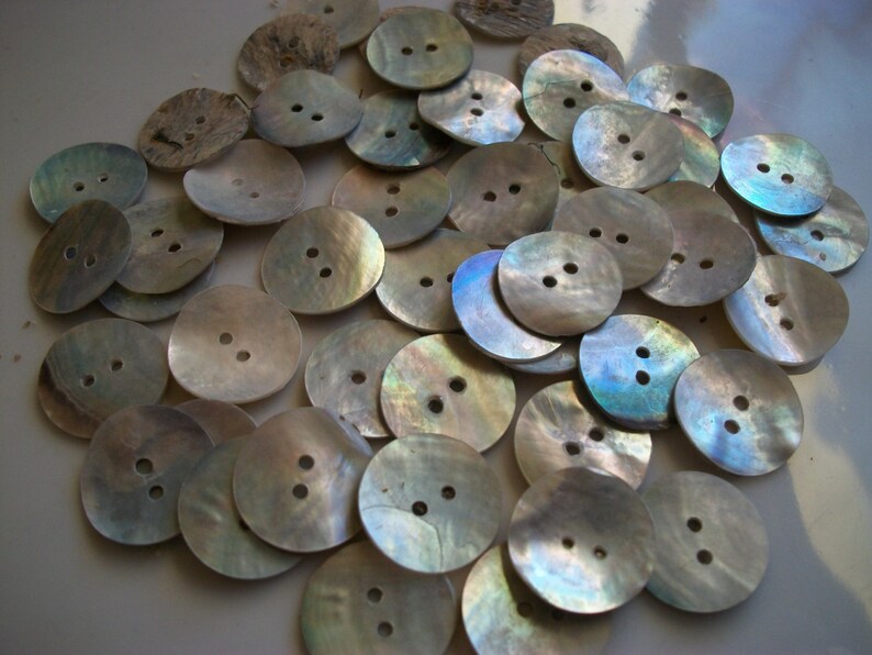 12 Oyster Shell Buttons 11mm or 15mm Real Shell Button - Etsy