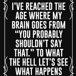 4 FUNNY Aging Patterns-cross Stitch-rug Hook-plastic Canvas-needlepoint ...