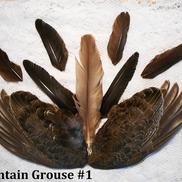 Real Feathers - Etsy