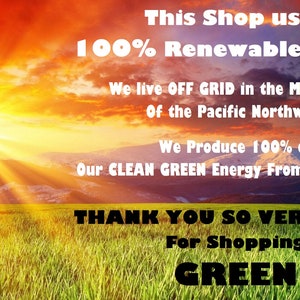 Salish Eagle BEADWORK Patterns-perler + Bead Loom + Peyote + Brick ...