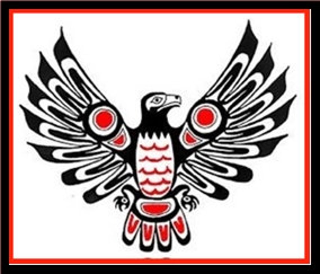 Salish Eagle PATTERN for Cross Stitch-needlepoint-rug Hooking-perler ...