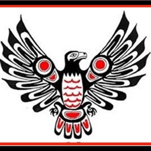 Salish Eagle Pattern-counted Cross Stitch-needlepoint-rug Hooking ...