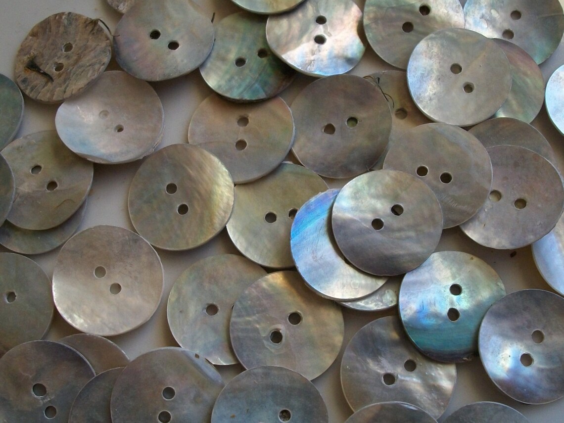 12 Oyster Shell Buttons 11mm or 15mm Real Shell Button - Etsy