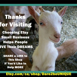 Salish Whale Cross Stitch PATTERN, Rug Hooking Patterns, Plastic Canvas ...