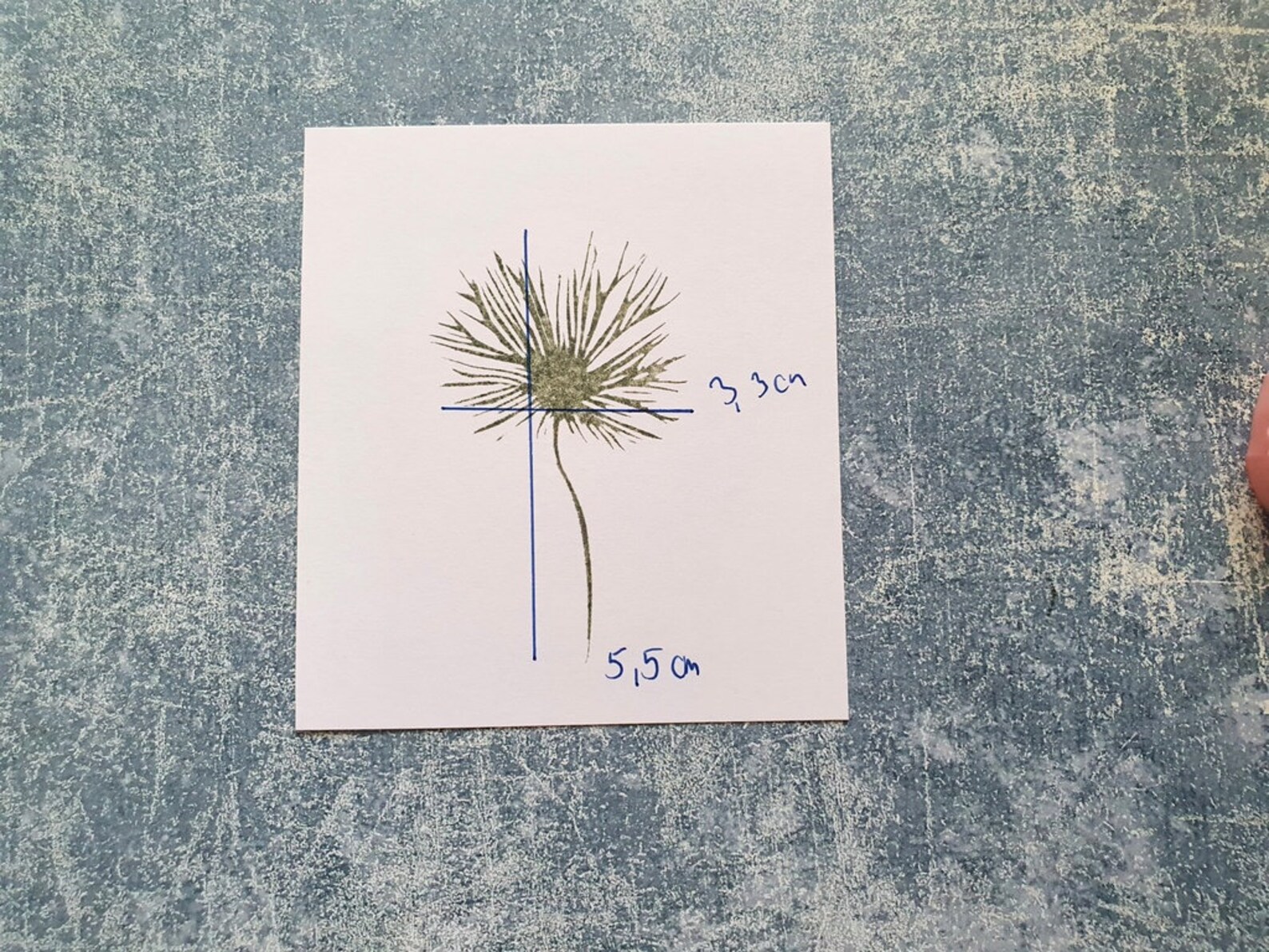 Dandelion Rubber Stamp for Scrapbooking Wild Flower Stamp for - Etsy