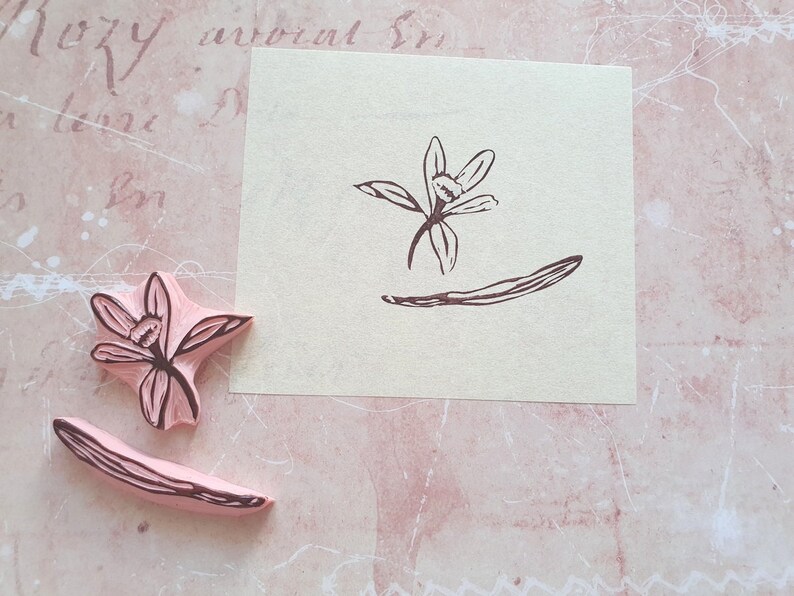 Vanilla Bean Rubber Stamp Set, Tropical Food Decor, Vintage Kitchen ...