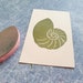 Shell Rubber Stamp for Daily Planner Ocean Shell Stamp for - Etsy
