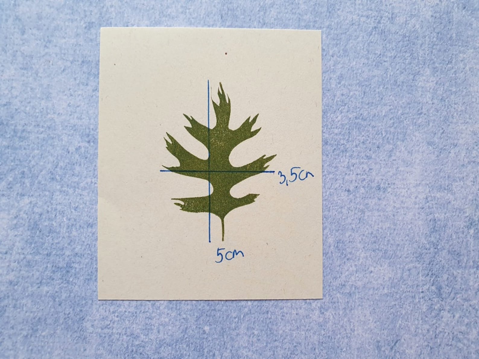 Leaf Rubber Stamp for Art Journaling, Rustic Leaf Stamp for ...