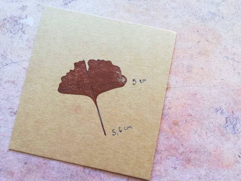 Ginkgo Leaf Stamp for Cardmaking, Fall Rubber Stamp for Bullet Journal ...