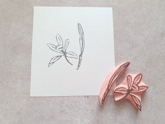 Vanilla bean rubber stamp set tropical food decor vintage | Etsy